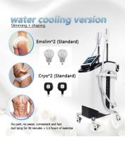 China Electro Therapy Muscle Stimulator Machine 4 Channel High Intensity Electromagnetic for sale
