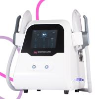 China Double Control Muscle Stimulator Machine Portable Electromagnetic Therapy Machine for sale