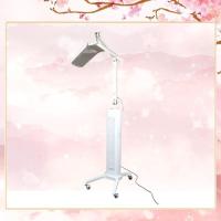 China Acne Treatment Light PDT LED Therapy Machine 7 Color Vertical Skin Rejuvenation for sale