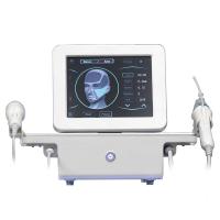China 2 In 1 Portable Fractional RF Beauty Device Microneedling Face Body Rejuvenation for sale
