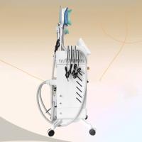 China 5 Cryo Handles RF Skin Tightening Machine Cryotherapy 360 Degree Fat Freezing Cavitation for sale