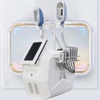 China S22A Coolsculpting 360 Corylipolysis Fat Freezing Machine Portable 3 Cryo Handles for sale