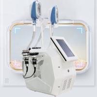 China S22A Coolsculpting 360 Corylipolysis Fat Freezing Machine Portable 3 Cryo Handles for sale