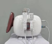 China H02 Mini 4 Tips Rf Microneedling Machine Gold Fractional Skin Rejuvenation for sale