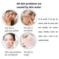 China EZ U225 Prp Water Mesotherapy Injection Gun Electroporation Face Skin Ems for sale