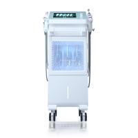 China Multifunctional Oxygen Bubble Skin Care Machine Wake Up Skin W9 9 In 1 for sale
