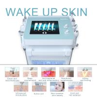China Multifunctional Oxygen Bubble Skin Care Machine Wake Up Skin W9 9 In 1 for sale