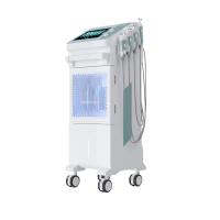 China Multifunctional Oxygen Bubble Skin Care Machine Wake Up Skin W9 9 In 1 for sale