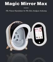China Portable 3D Digital Face Skin Age Test Skin Scanner Uv Analysis Machine With Ipad for sale