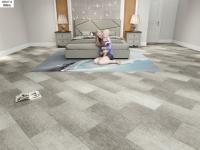 China Interior PVC Click MGO Laminate Flooring 8mm for sale