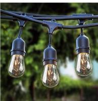 China Controller Included 48 Foot Waterproof Outdoor LED String Lights for sale