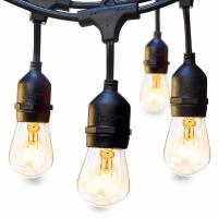 China Festoon Garland Light LED Clear Bulb Belt Lights Low Voltage Lighting Strand for sale