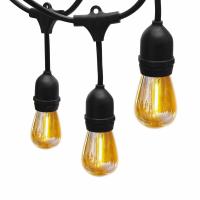 China Festoon Garland Light LED Clear Bulb Belt Lights Low Voltage Lighting Strand for sale