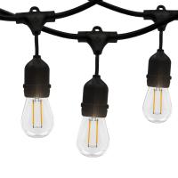 China Festoon Garland Light LED Clear Bulb Belt Lights Low Voltage Lighting Strand for sale