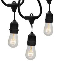 China Festoon Garland Light LED Clear Bulb Belt Lights Low Voltage Lighting Strand for sale