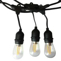 China Transform Your Home Into A Winter Wonderland With Goods Cafe Solar String Lights for sale