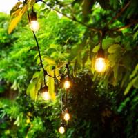 China Transform Your Home Into A Winter Wonderland With Goods Cafe Solar String Lights for sale