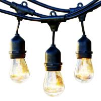China Customized Color Size LED String Light For Outdoor Festoon Garden Decoration for sale