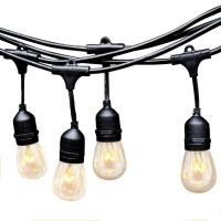 China Customized Color Size LED String Light For Outdoor Festoon Garden Decoration for sale