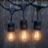 China Customized Color Size LED String Light For Outdoor Festoon Garden Decoration for sale