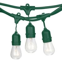 China Customized Color Size LED String Light For Outdoor Festoon Garden Decoration for sale