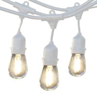 China 120lm Customized Color Led Hanging Lights Waterproof Outdoor Light String With Bulbs for sale