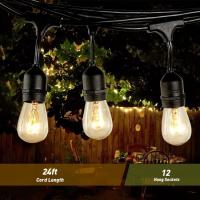 China Led Curtain Outdoor Christmas Light String Remote Control For Landscape Garden for sale