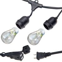 China Led Curtain Outdoor Christmas Light String Remote Control For Landscape Garden for sale