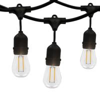 China Led Curtain Outdoor Christmas Light String Remote Control For Landscape Garden for sale