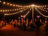 China Led Curtain Outdoor Christmas Light String Remote Control For Landscape Garden for sale