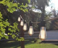 China Outdoor Solar Garden String Lights For Christmas Wedding Parties 1- 120lm for sale