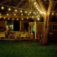 China Power Cord Operated Noma 12 Volt Outdoor String Lights Perfect For Celebration for sale