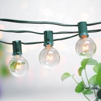 China 120lm Lamp Luminous Flux For Outdoor String Light Fashionable Decorative Lights for sale
