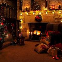 China Party Decoration Bistro Lights Customized Color CCT 2700K RGB DMX Festoon Light for sale
