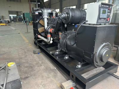 China 300KW/375KVA Silent & Open Type Diesel Generator | Weichai Engine | Factory Direct Supply for sale