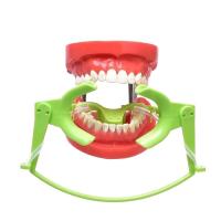 China Dental Orthodontics Materials Nitinol Open Coil Spring 200g 7 inch 17.5cm with CCC Certification and 180mm Length for sale