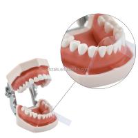 China 100Pcs/box Dental Filling Tools MICRODONT Interdental Spacer Polyester Matrix Bands Dental Material Matrices for sale