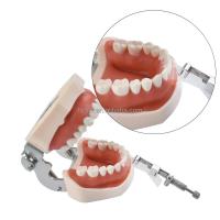 China 100Pcs/box Dental Filling Tools MICRODONT Interdental Spacer Polyester Matrix Bands Dental Material Matrices for sale