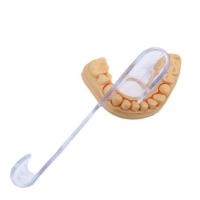 China Clear/Clear Blue Double Head Lip Retractor Dental Lip Cheek Opener Stainless Steel Surgical Tool with CCC Certification for sale