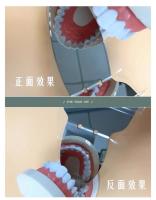 China Dental Double Side Orthodontic Instrument SS Photograph Mirror for sale