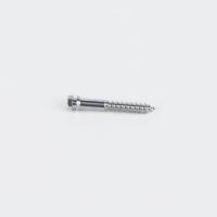 China SEO-Optimized Product Description: SS/Titanium Mini Screw for MSE for sale