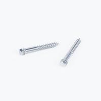 China SEO-Optimized Product Description: SS/Titanium Mini Screw for MSE for sale