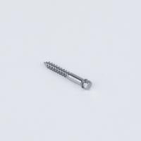 China SEO-Optimized Product Description: SS/Titanium Mini Screw for MSE for sale