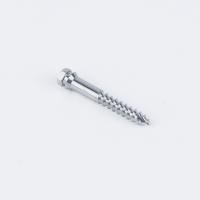China SEO-Optimized Product Description: SS/Titanium Mini Screw for MSE for sale