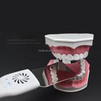 China LED Light Anti Fog SS Double Side Dental Mirror 4 Pieces per Pack Dental Examination Tool for sale