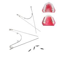 China Introral Arch Expander Quad Helix 2 Pcs Pk Size L M S Orthodontic Dental Expander for sale