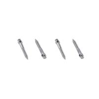 China New Titanium Orthodontic Micro Implant Button Head with Hole for Dental Anchorage for sale