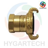 China Forging Brass Swivel Claw-Lock Quick Hose Coupling FIP 3/4