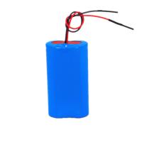 China 18650 Battery Pack | Samsung Custom 8.88Wh 2400mAh Li Ion 3.7 V Battery Pack for Hoverboard | 1C Discharge | China Manufacturing Factory for sale
