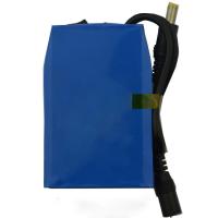 China Long Cycle Life Lithium Polymer Battery | Custom MSDS 2600mAh 12V Lipo Battery Pack for Wireless Monitoring Device | ROHS Compliant Made in China for sale